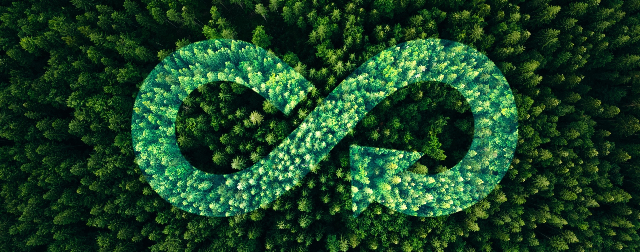 Stek advises management of Waste Vision on their participation in the ...