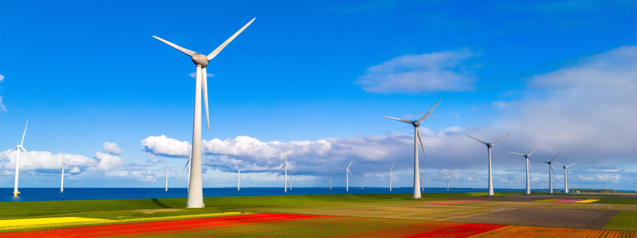 Stek advises Rabobank and SEB on project financing for NOP Agrowind - Stek Lawyers